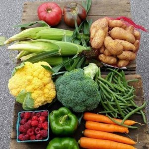 Farm Box | Moder's Gardens – Lineville Rd – (920) 434-0730